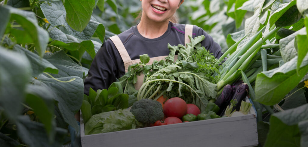 株式会社TGファーム（TG Farm）